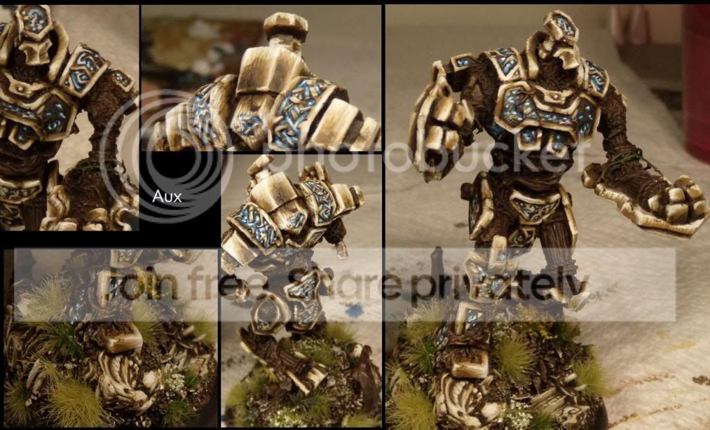 Circle (Hordes) - so far - Forum - DakkaDakka